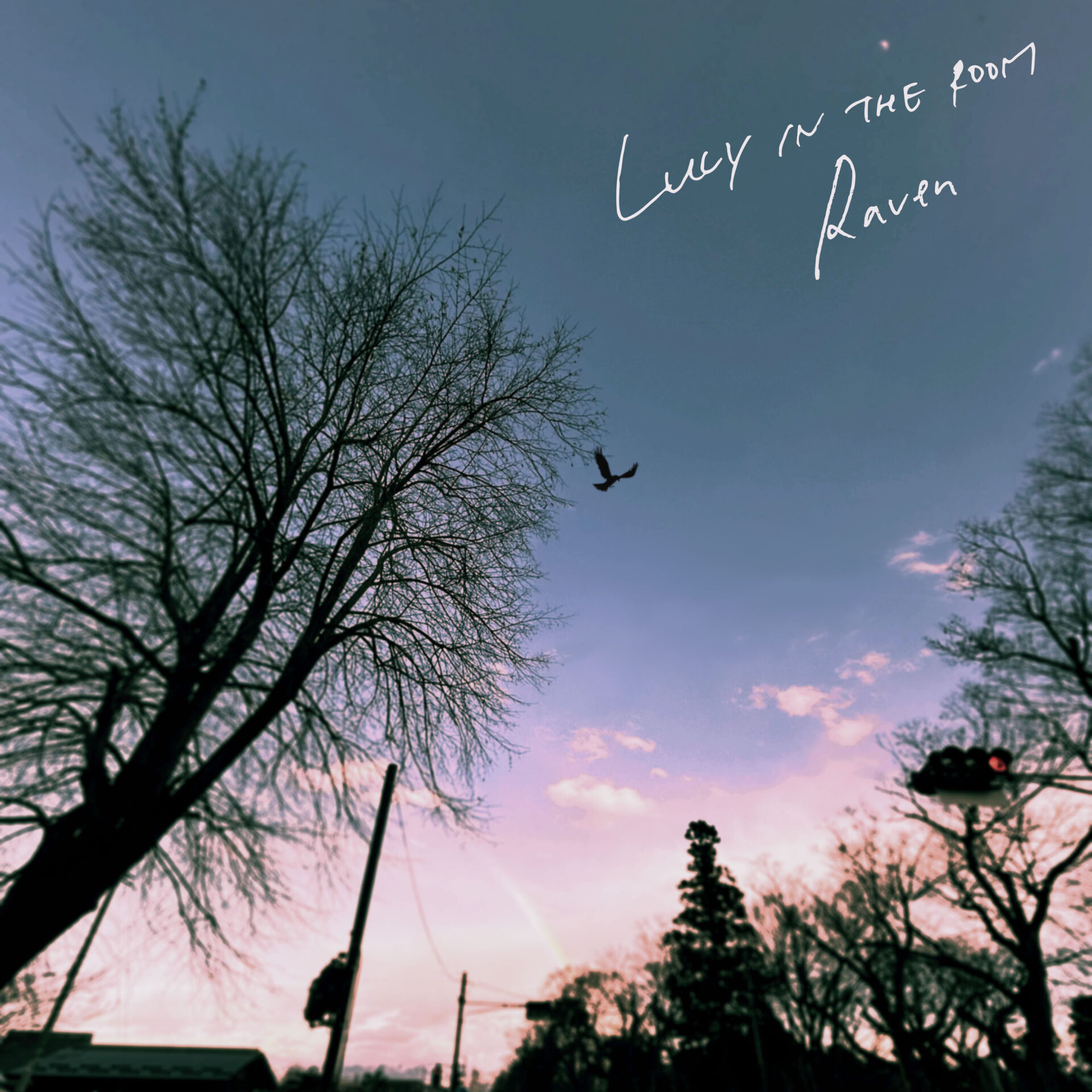 Raven - LUCY IN THE ROOM